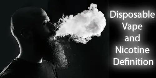 Disposable Vape and Nicotine Definition– The Smoke Plug