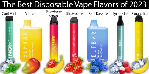 The Best Disposable Vape Flavors of 2023 - A Guide for Beginners– The ...