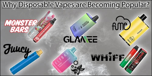 Why Disposable Vapes are Becoming Popular?– The Smoke Plug