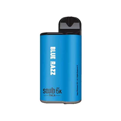 Squid 5K Disposable Vape Device | 5000 Puffs - 1PC– The Smoke Plug